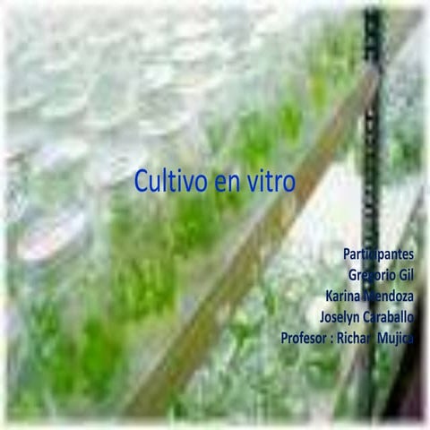 Cultivo en vitro gregorio gil | PPTX