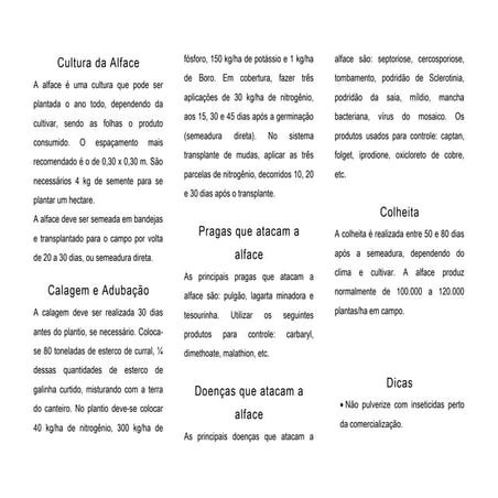 Cultura da alface | DOC