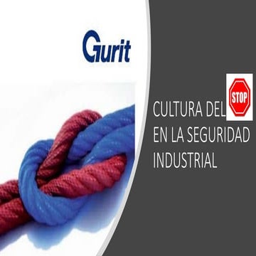 PROGRAMA STOP PARA EMPLEADOS SEGURIDAD OBSERVACION PREVENTIVA | PPT
