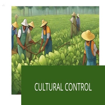 Cultural-Control-Rhechel-Ann-Taborite_113930 (1).pptx