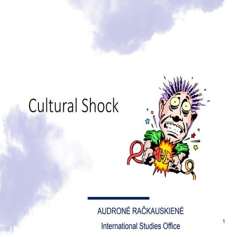 Presentation about Cultural Shock. Downloaded from admissions.ktu.edu