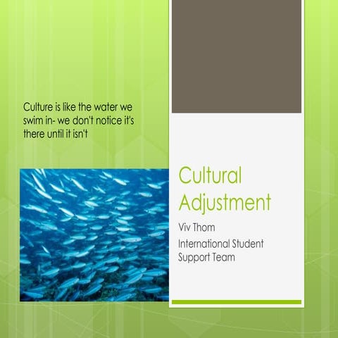 Cultural adjustment | PPTX