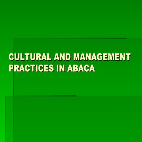 CULTURAL AND MANAGEMENT PRACTICES OF ABACA.ppt