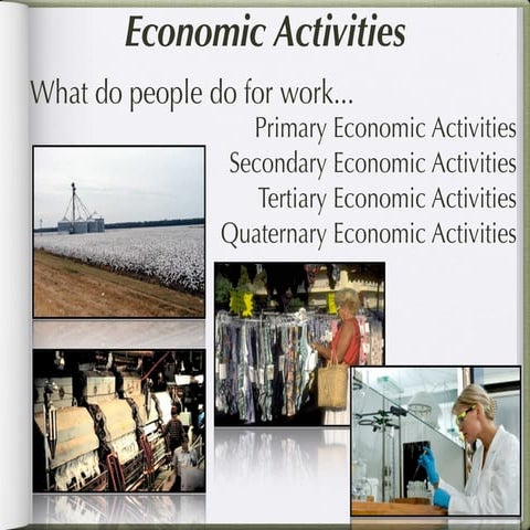 Cultural Geography - Economic Activities | KEY | Economy | Business and ...