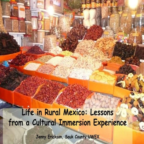 Mexican Folklore Ballet | PPT