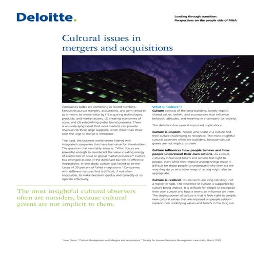 Cultural issues | PDF