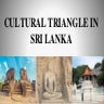 CULTURAL TRIANGLE IN SRI LANKA .pptx