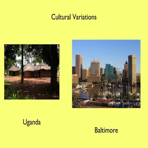 Cultural variations in attachment | PPT