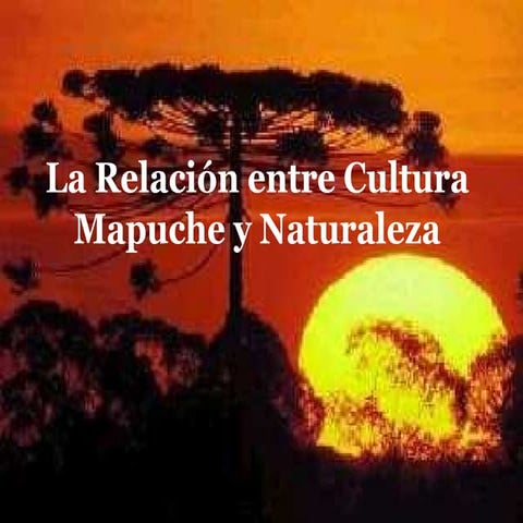 Cultura Mapuche Y Naturaleza | PPT