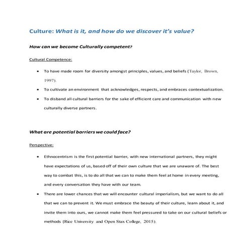 Cultural Competence Handout | PDF