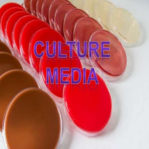 Culture media to grow organisms from infected material to identify the ...
