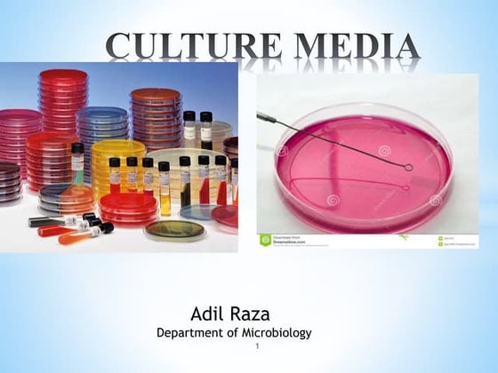 Types of culture media | PPTX | Chemistry | Science