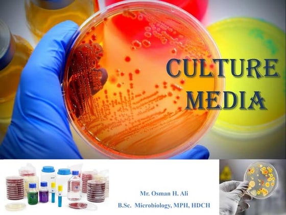 Methods for isolation of pure culture | PPTX