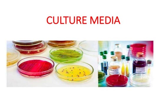Culture media solid, liquid, use of agar | PPTX | Agriculture | Industries