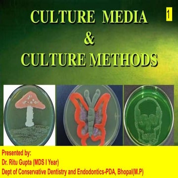 Culture media and techniques | PPTX