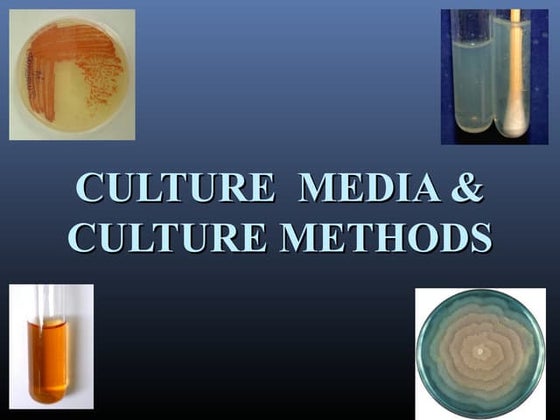 Microbiology (laboratory media and culture) | PPT