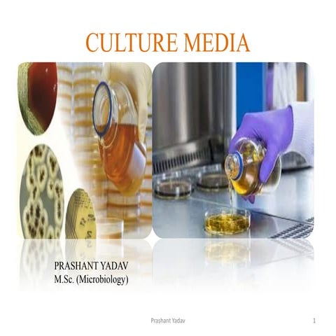 CULTURE MEDIA- medical microbiology lab | PDF