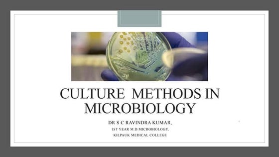 Pure culture techniques | PPTX | Infectious Diseases | Diseases and ...