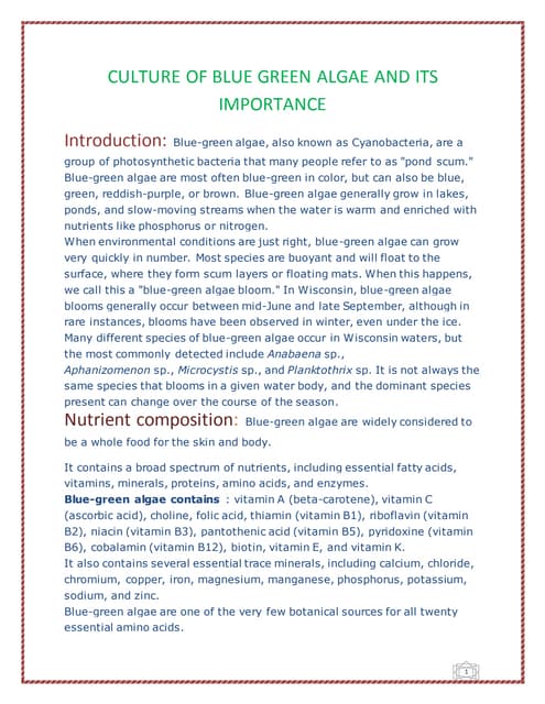 Blue green algae | PPTX | Biological Sciences | Science