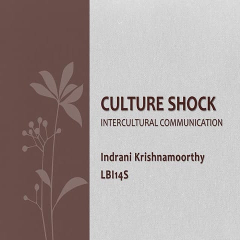 Culture Shock | PPTX