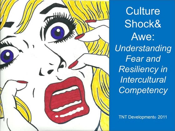 Culture shock and awe handout | PDF