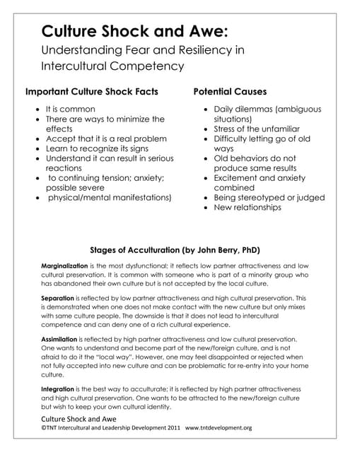 Culture shock and awe | PPSX | Mental Health | Diseases and Conditions