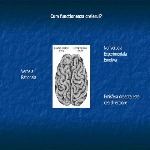 Cum Functioneaza Creierul 1 | PPT