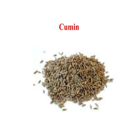 Cultivation Practice of Cumin in Nepal.pptx