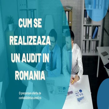 Cum se realizeaza un audit in Romania | PDF