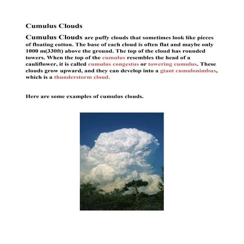 kinds of Cumulus clouds | DOCX | Weather | Science