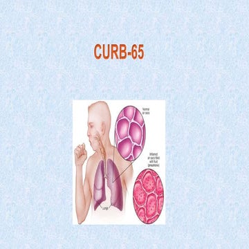 curb 65.pptx