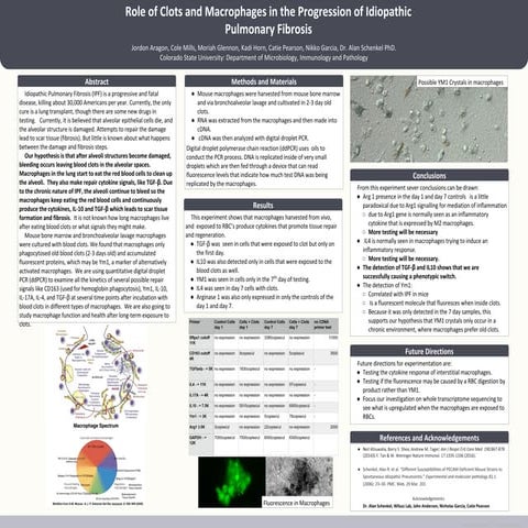 CURC poster presentation 2018 | PDF