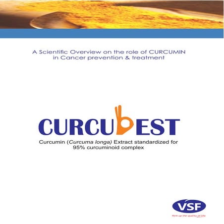 Curcumin tablet 500mg | PDF