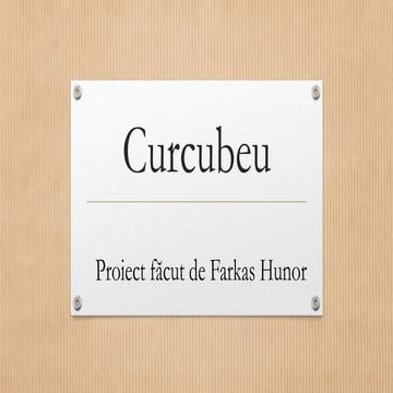 Curcubeu | PPTX
