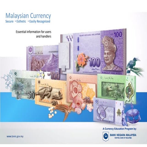 Currency education-program | PDF