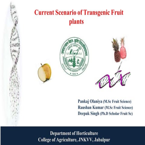 Current Scenario of Transgenic Fruit.pptx