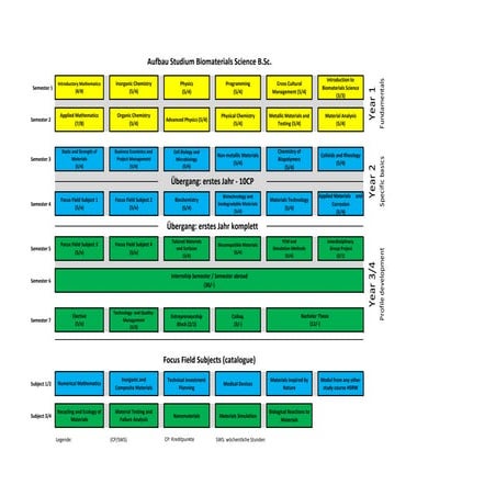curricula_fuer_homepage_-_bms for success.pdf