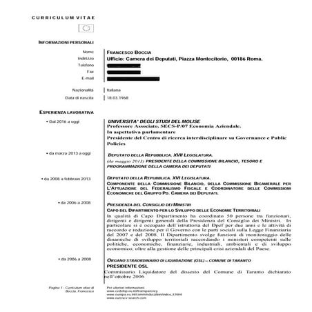 Boccia, il curriculum dopo la correzione | PDF