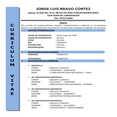 Curriculum viate | DOCX