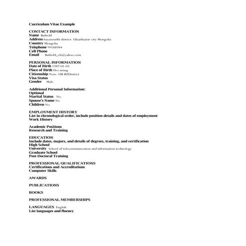 Curriculum Vitae Example | PDF