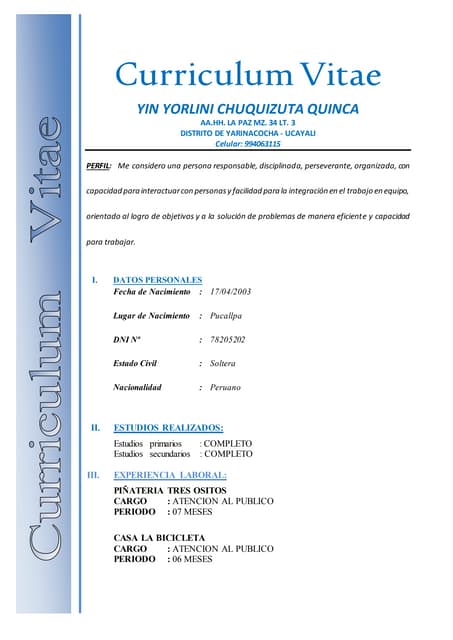 MODELO DE CURRICULUM VITAE | PDF