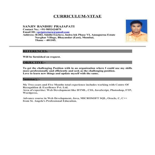 Curriculum vitae(trainee web,php and java developer) | DOC | Web Development | Internet