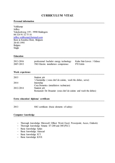 Cv | DOCX | Business | Business and Finance