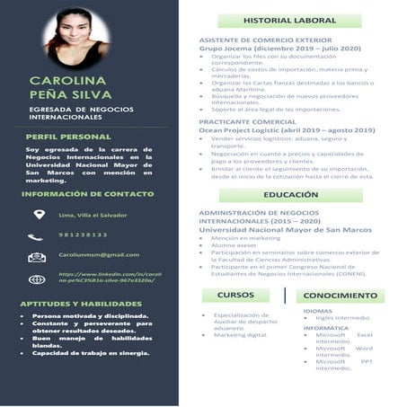Curriculum 2021 carolina | PDF | Business | Business and Finance