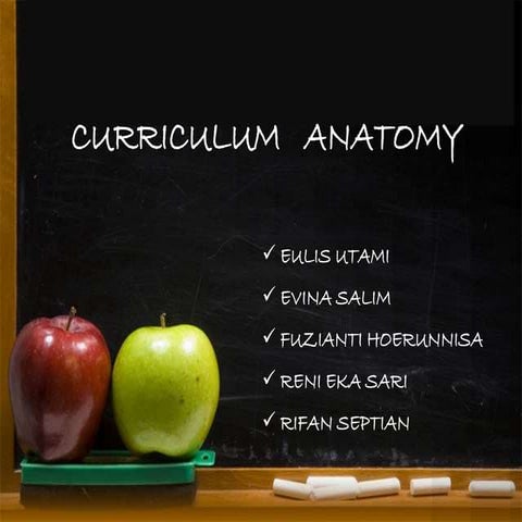 Curriculum Anatomy | PPTX