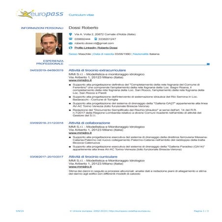 Curriculum Dossi Roberto | PDF