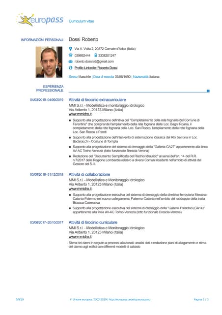 C.v. dario rizzo english version | PDF