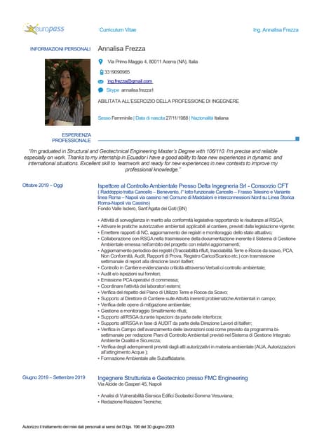 C.v. dario rizzo english version | PDF