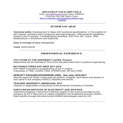 Curriculum jonathan salgado | PDF