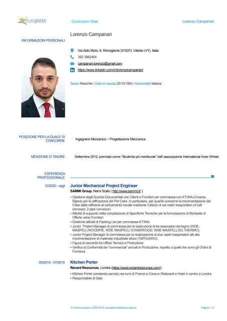 Curriculum Dossi Roberto | PDF